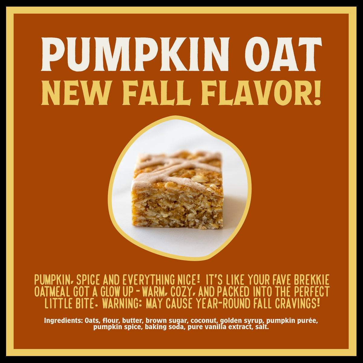 Fall Flavors Are Here Pumpkin Oat Bites Await!🎃 – Boomerang Bites